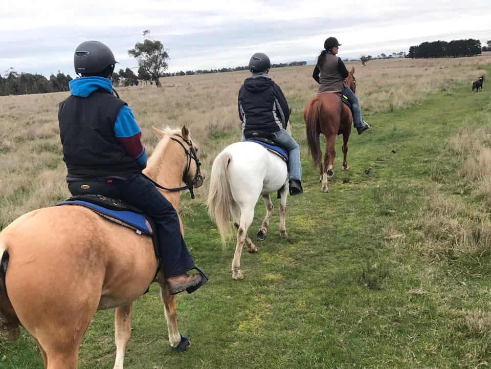 What is Trail Riding? – Woodlands Trail Riding