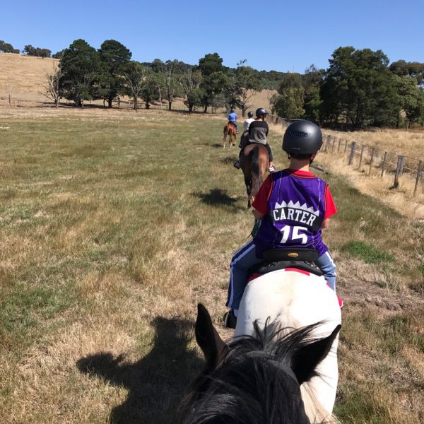 What is Trail Riding? – Woodlands Trail Riding