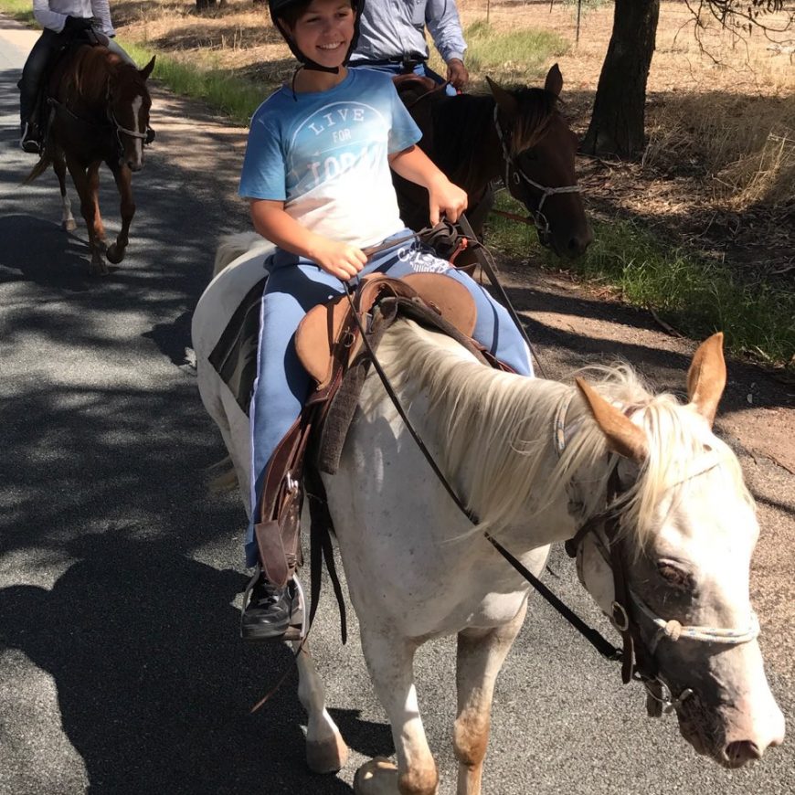 What is Trail Riding? – Woodlands Trail Riding